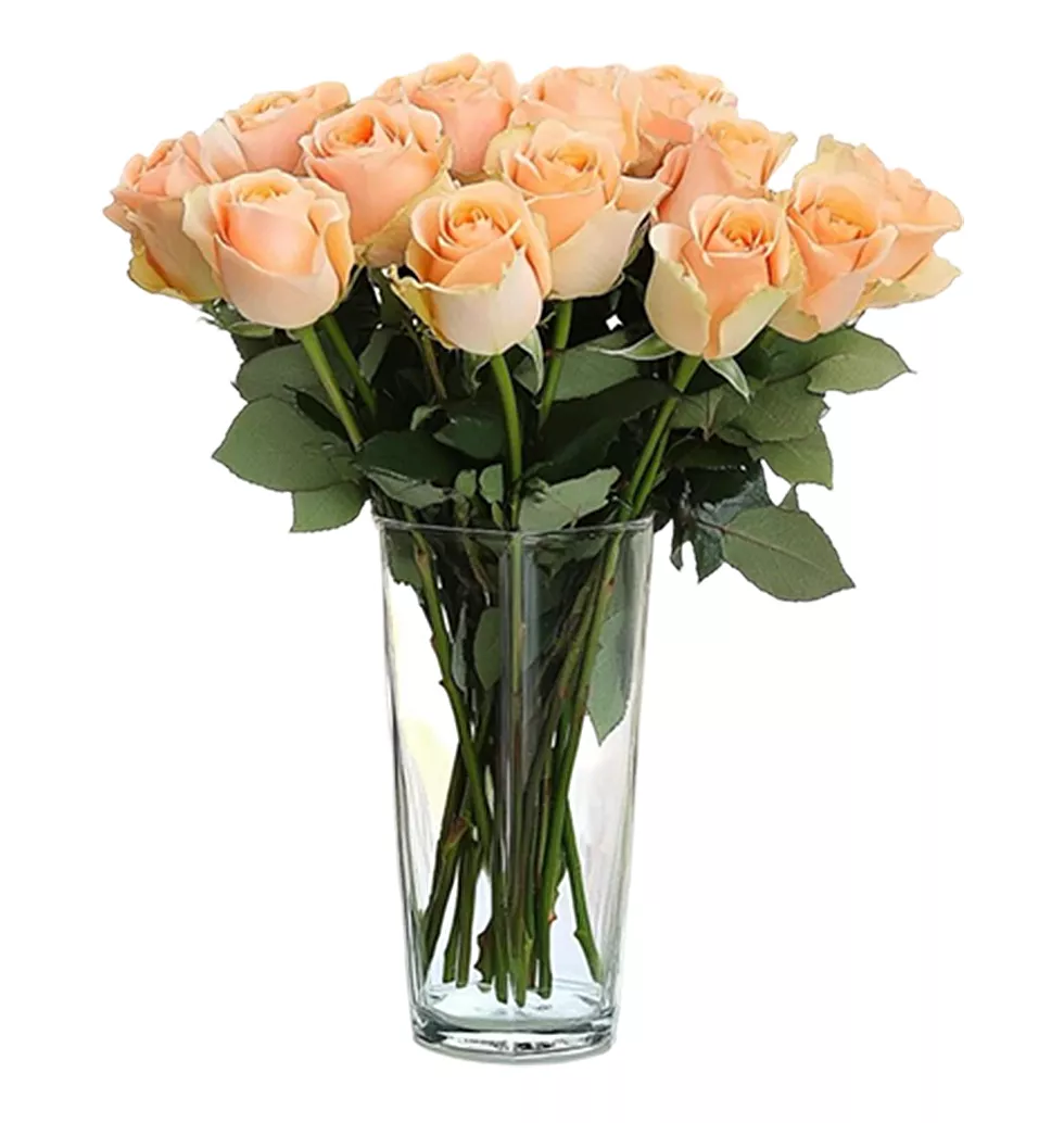 Send Bridal Bliss Roses To Germany